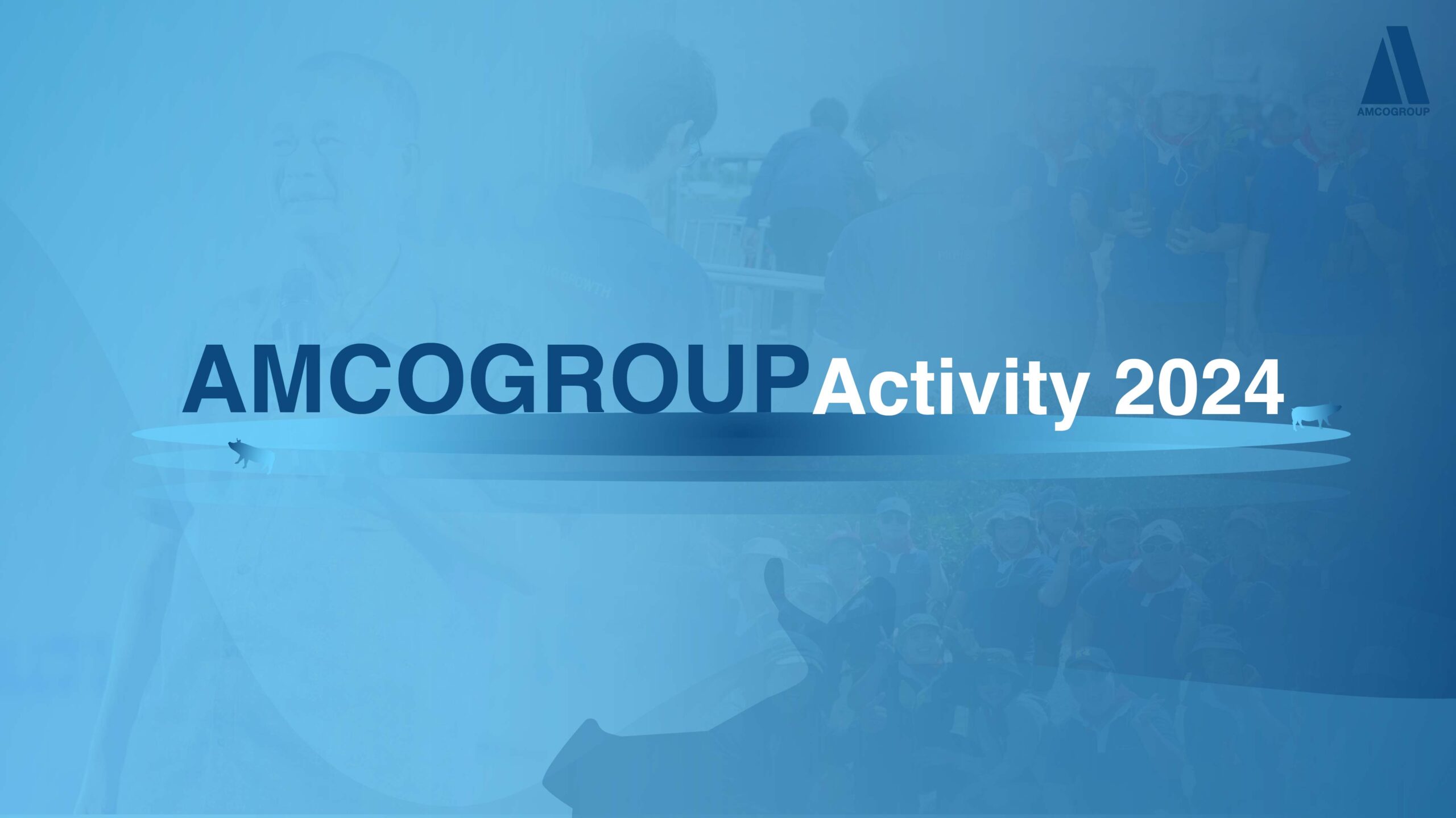 AMCOGROUP activities 2024 - Amcovet